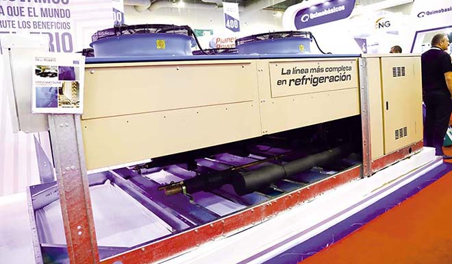 Bohn y los beneficios del frío – Andira